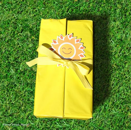50 Cheery Box of Sunshine DIY Gift Ideas and Printables to Give