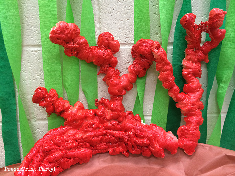 How to Make a Coral Reef Decoration - by Press Print Party!