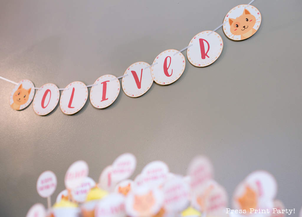 Oliver's Adorable Tabby Cat Party - by Press Print Party