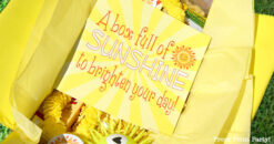 50 Cheery Box of Sunshine DIY Gift Ideas and Printables to Give