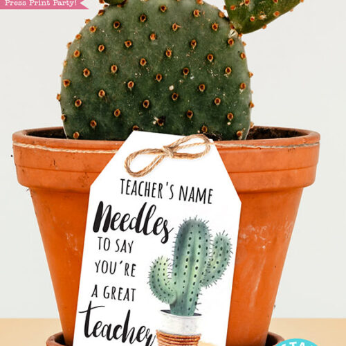 Teacher Appreciation Gift Tags Printable, Cactus Pun - Press Print Party!
