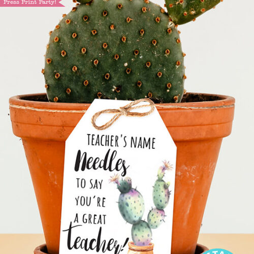 Teacher Appreciation Gift Tags Printable, Cactus Pun - Press Print Party!