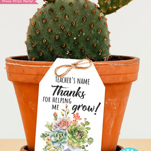 Teacher Appreciation Gift Tags Printable, Cactus Pun - Press Print Party!