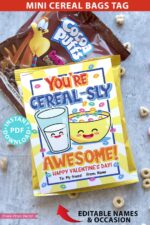 Kids Valentine Cereal Bags Tag, You're Cereal-sly Awesome,