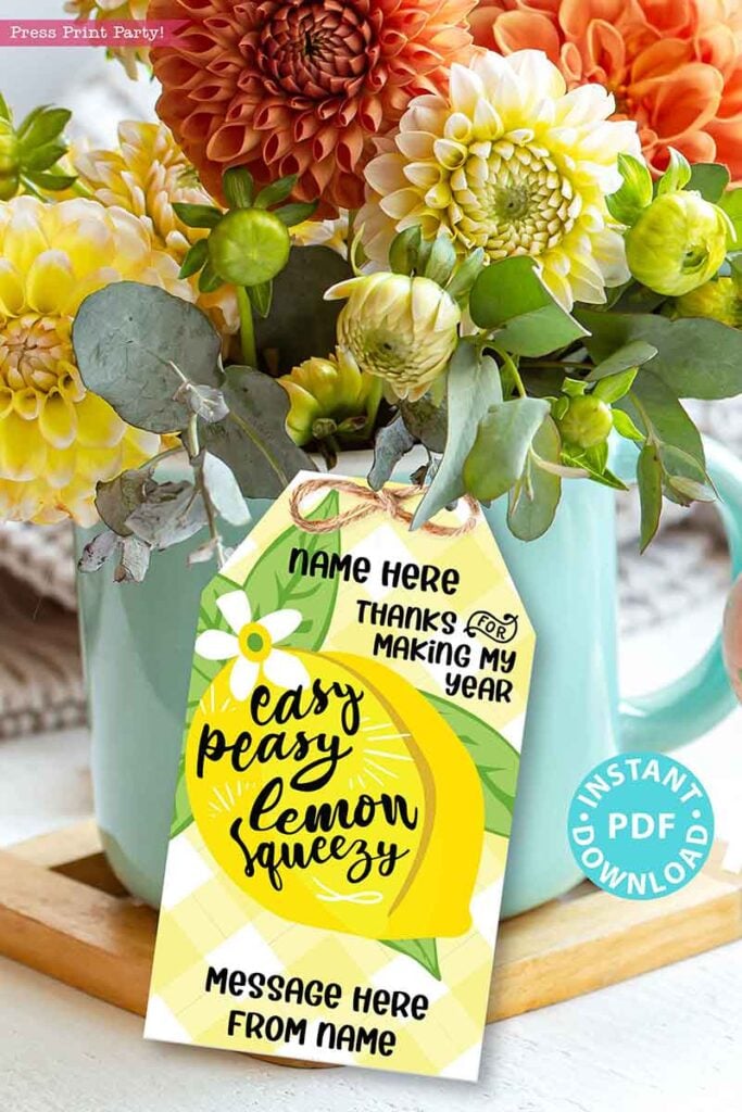 Gift Tags Printable, Easy Peasy Lemon Squeeze - Press Print Party!