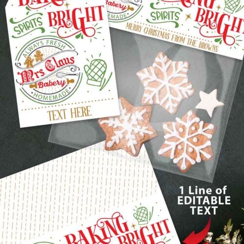 8 Christmas Treat Bag Toppers and Tags Set - Press Print Party!
