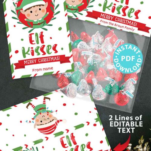 Santa Snacks Christmas Treat Bag Toppers and Tag - Press Print Party!