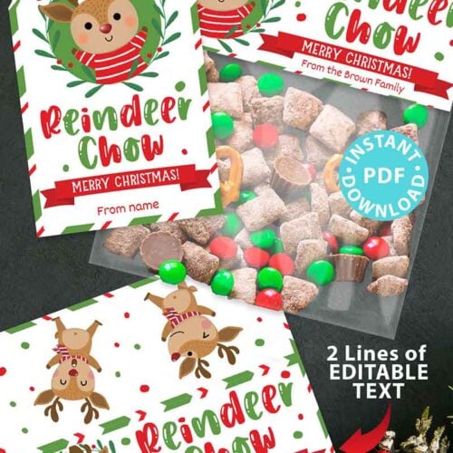 Reindeer Noses Christmas Treat Bag Toppers and Tag - Press Print Party!
