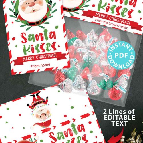Santa Snacks Christmas Treat Bag Toppers and Tag - Press Print Party!