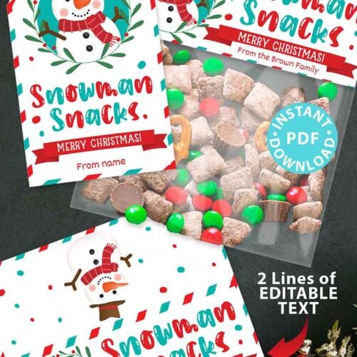 Snowman Poop Christmas Treat Bag Toppers and Tag - Press Print Party!