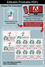 Snowman Poop Christmas Treat Bag Toppers and Tag - Press Print Party!