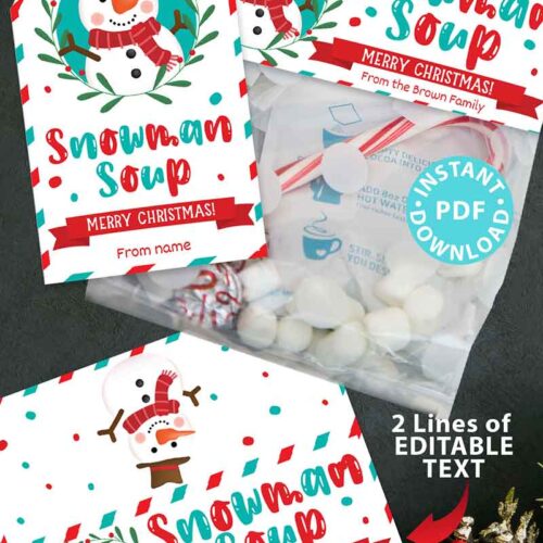 Elf Kisses Christmas Treat Bag Toppers and Tag - Press Print Party!