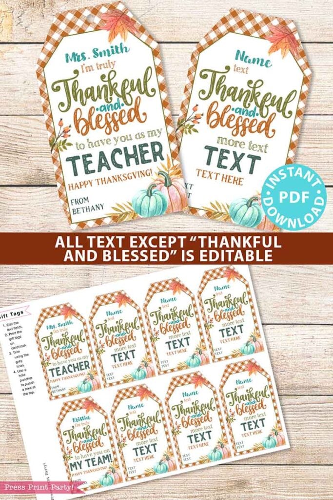Editable Thanksgiving Gift Tags Printable, Thankful and Blessed Gingham ...