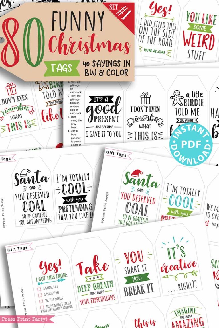 80 Funny Christmas Gift Tags Printable- Set 1 - Press Print Party!