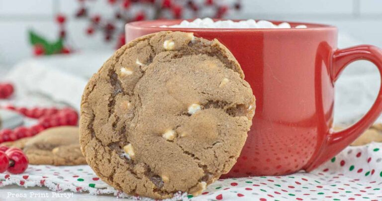 Easy Hot Cocoa Cookies Recipe with Cocoa Powder Mix