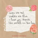 25 Original Valentine Funny Poems for Silly Cards