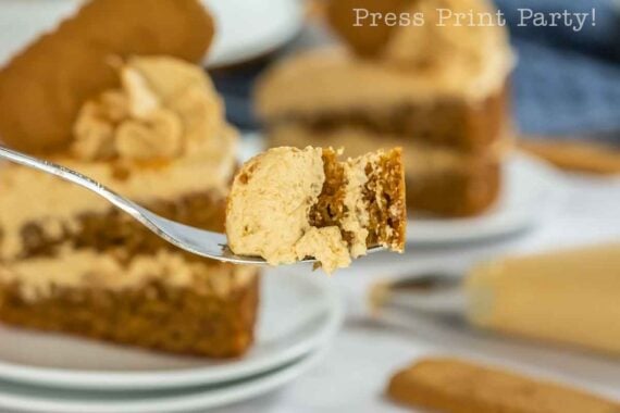 Delicious Biscoff Cake Recipe with Cookie Butter Frosting
