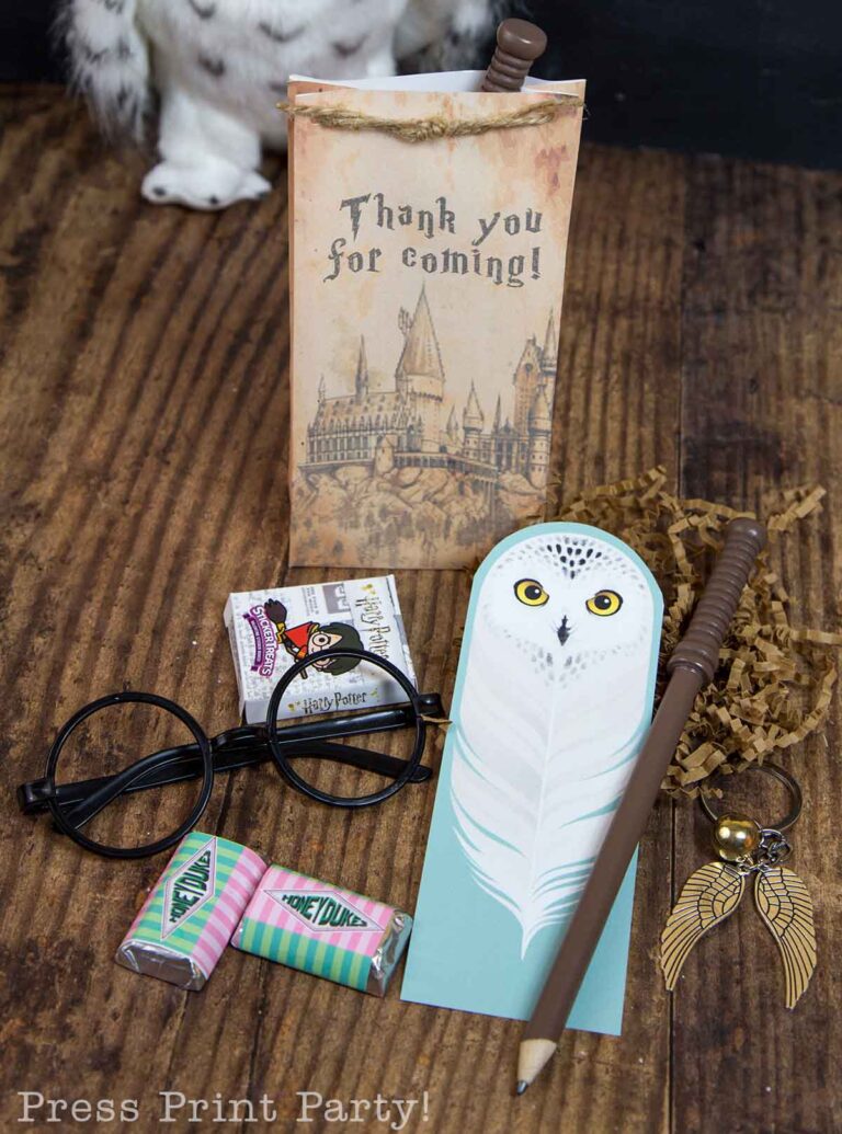 Harry Potter Gift Bags DIY and Unique Favor Ideas