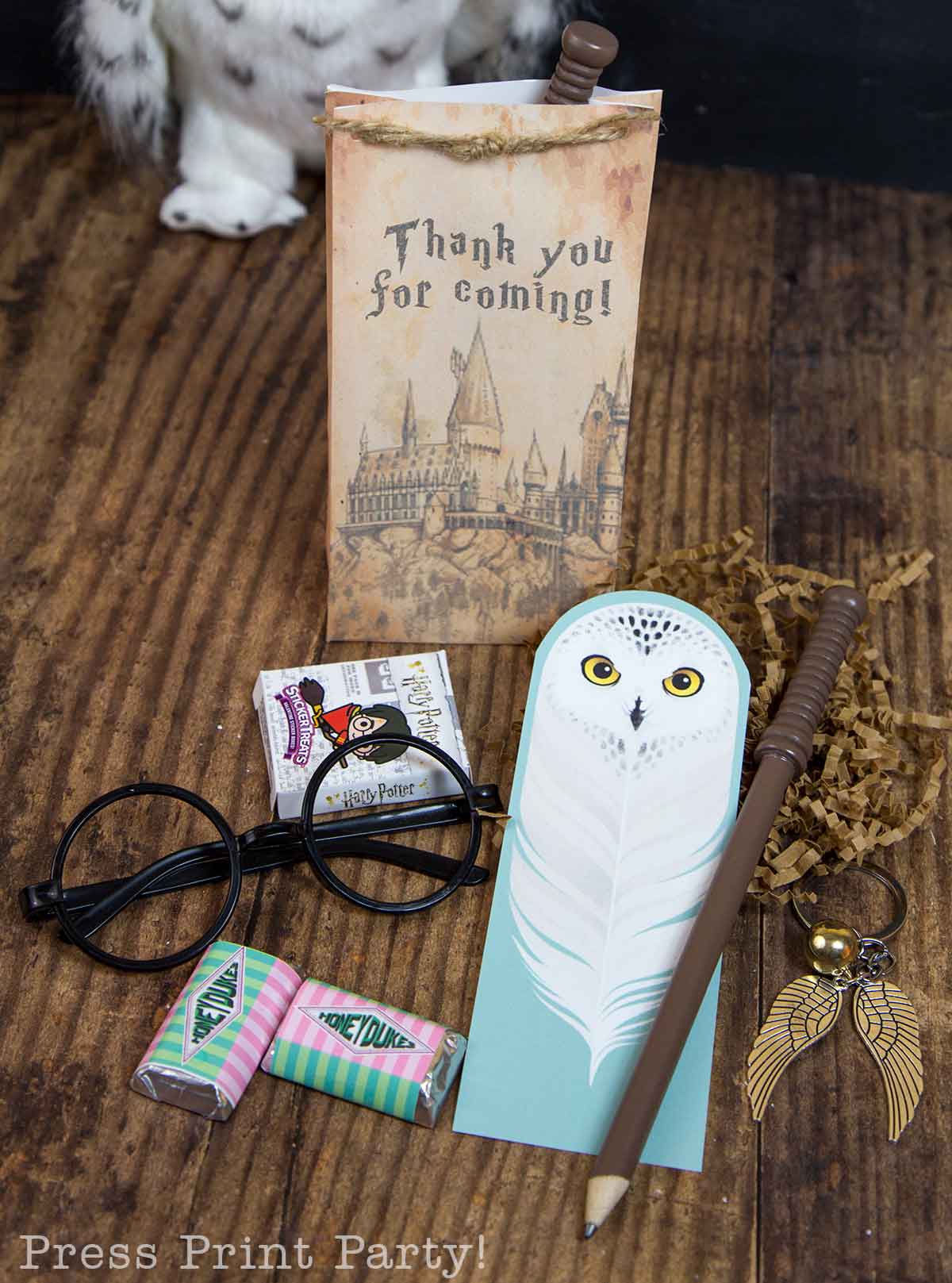 Harry Potter Gift Bags DIY and Unique Favor Ideas