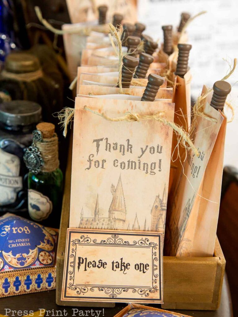 Harry Potter Gift Bags DIY and Unique Favor Ideas