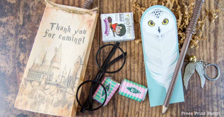 Harry Potter Gift Bags DIY and Unique Favor Ideas