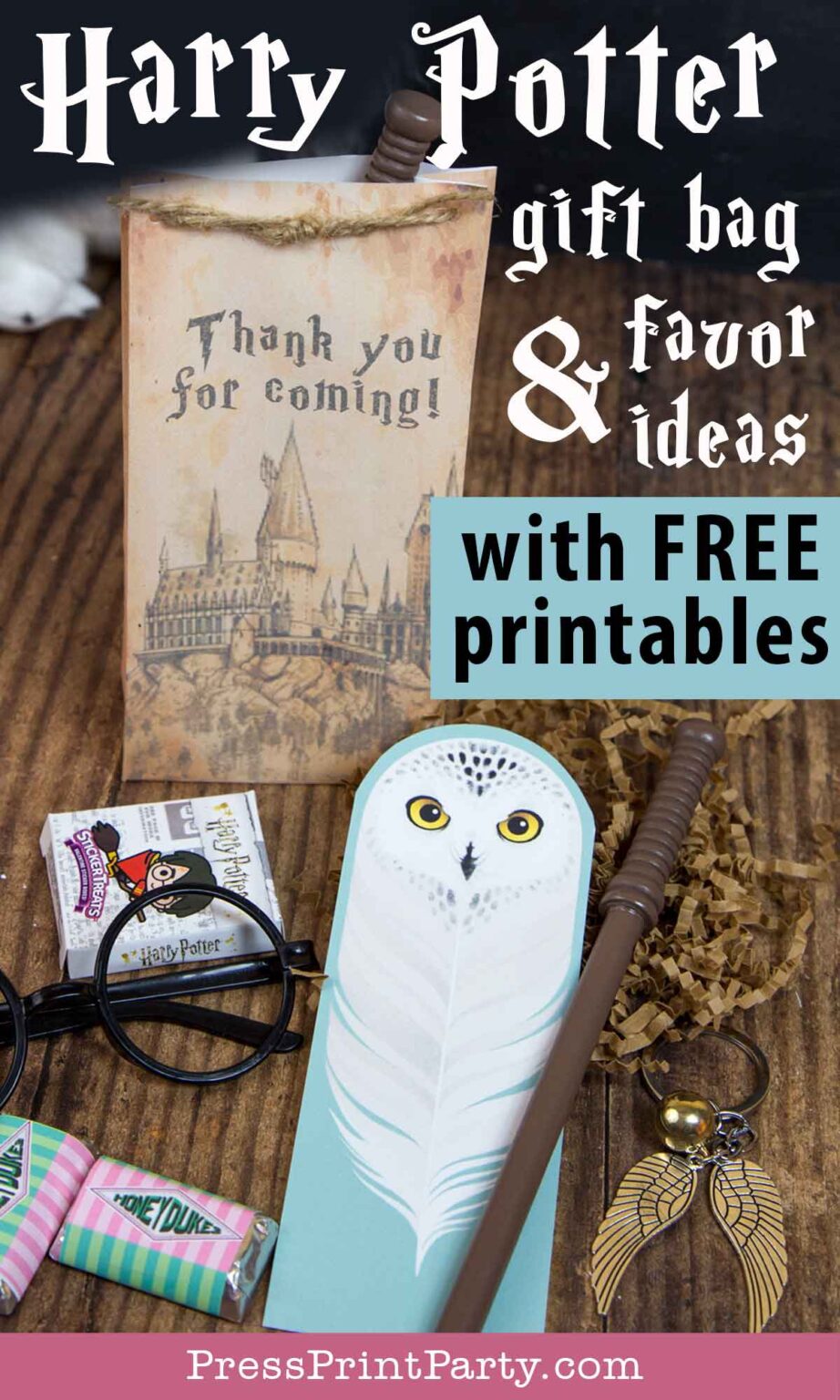 Harry Potter Gift Bags DIY and Unique Favor Ideas