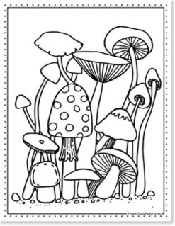 Get Inspired by Nature With This Mushrooms Coloring Book
