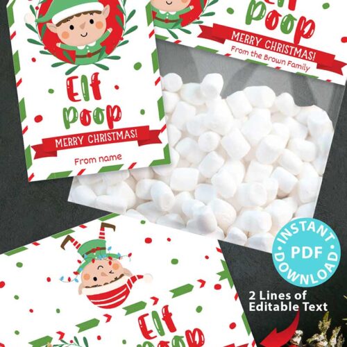 Reindeer Poop Christmas Treat Bag Topper & Tag