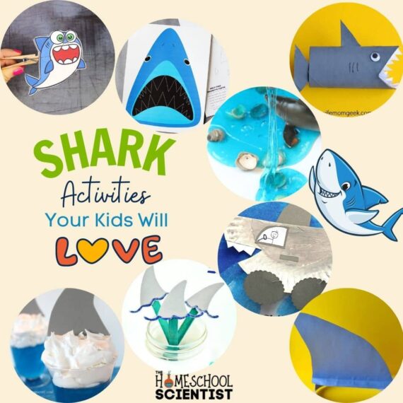 22 Free Printable Shark Activities for Shark Week Fun