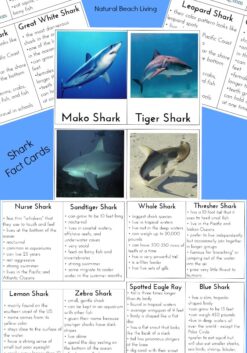 22 Free Printable Shark Activities for Shark Week Fun